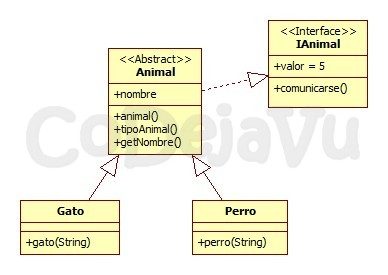 Todo lo que necesitas saber sobre el polimorfismo en POO - MD Pajedrez